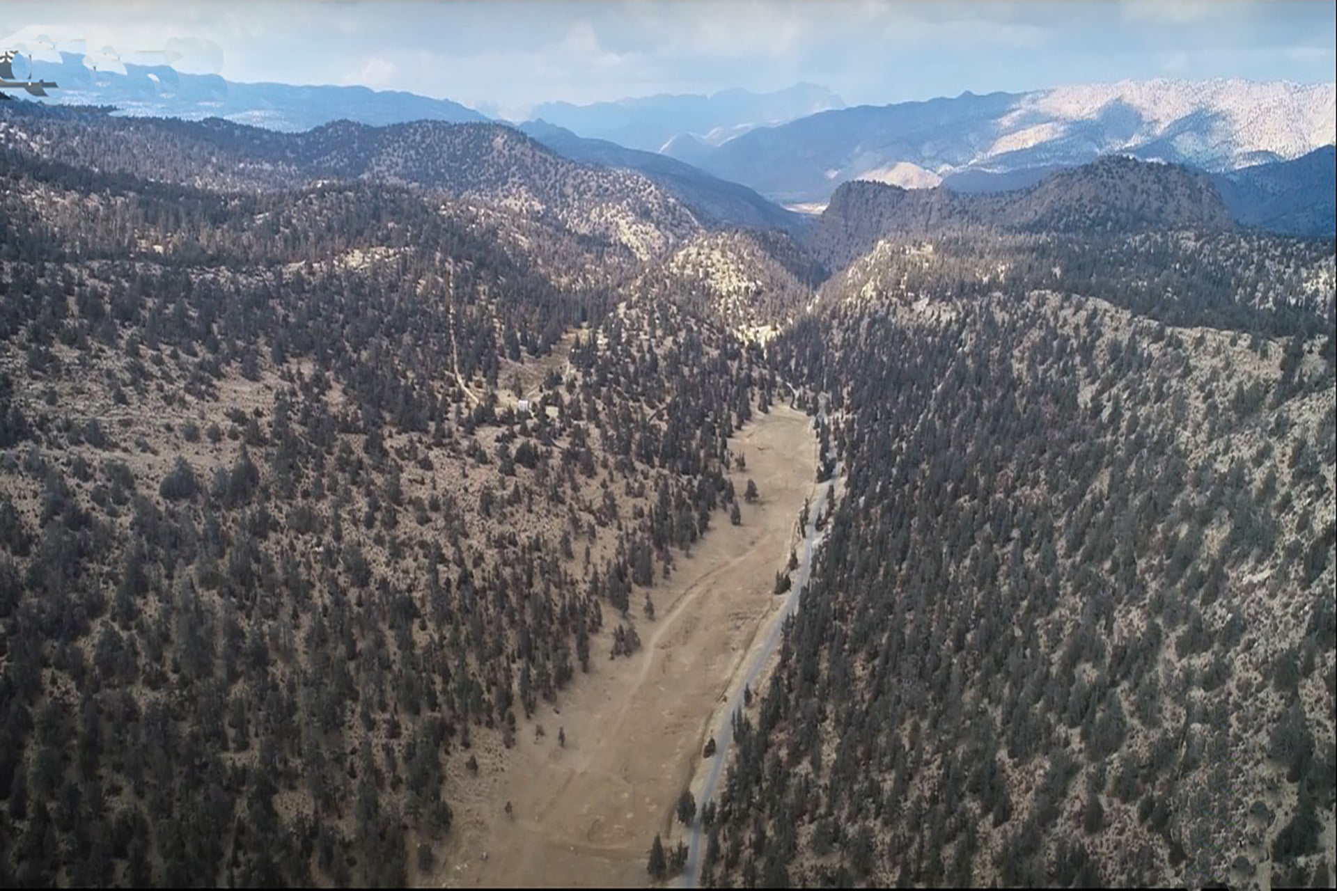 1 of the Oldest Forests in Balochistan - Juniper Forest in Ziarat Pakistan