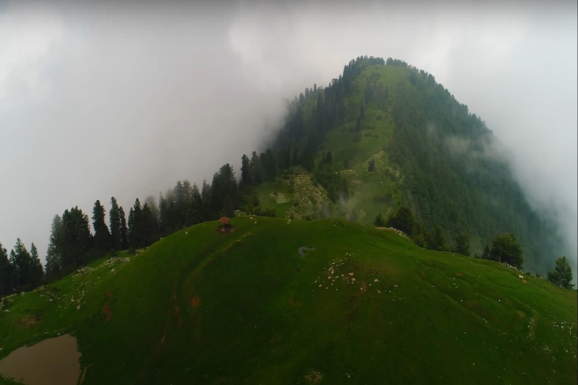 Mushkpuri Top Hiking Trek: A Scenic Adventure in Nature's Lap