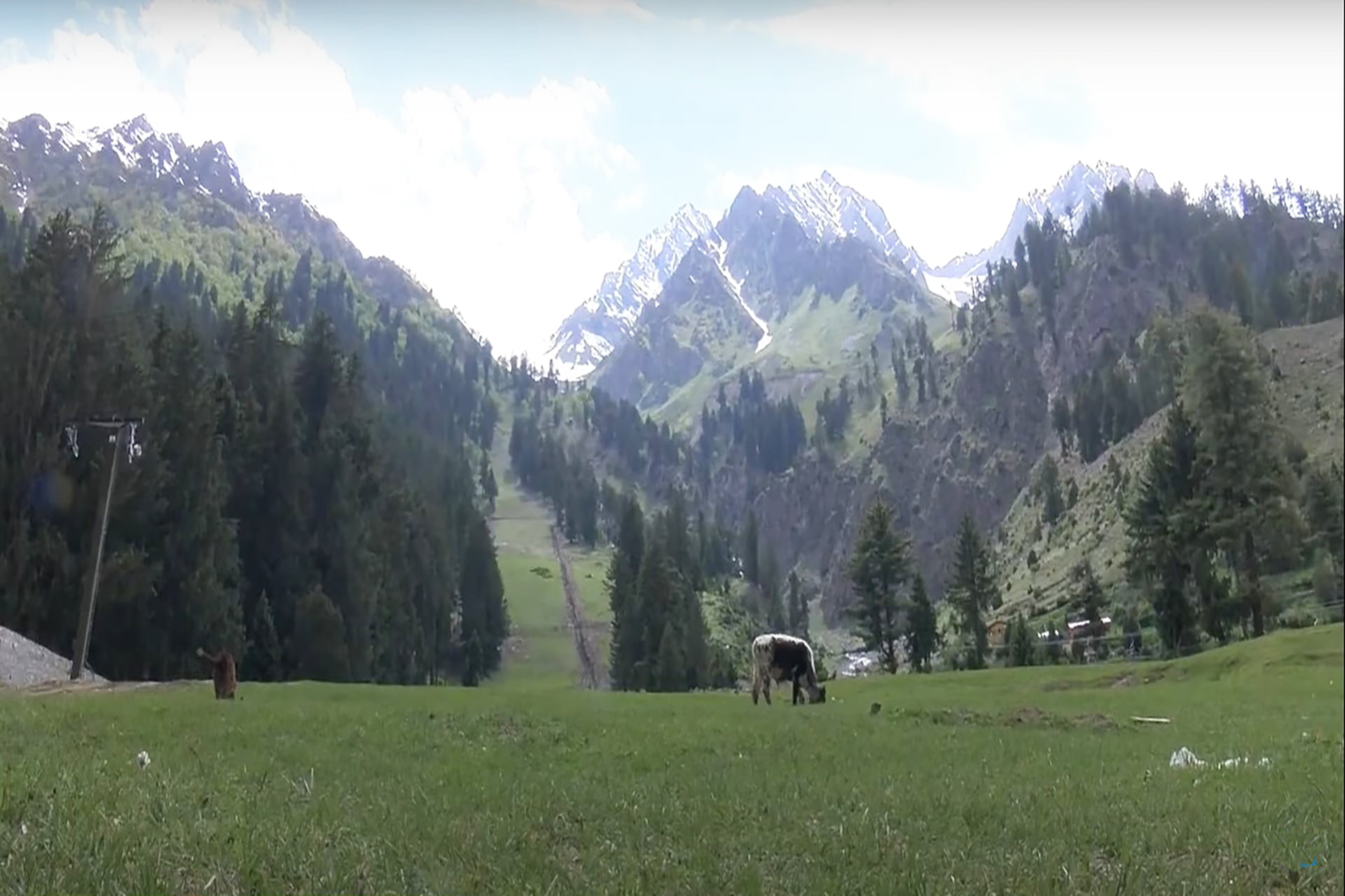 Naltar Valley, Gilgit: Pakistan's Hidden Alpine Paradise