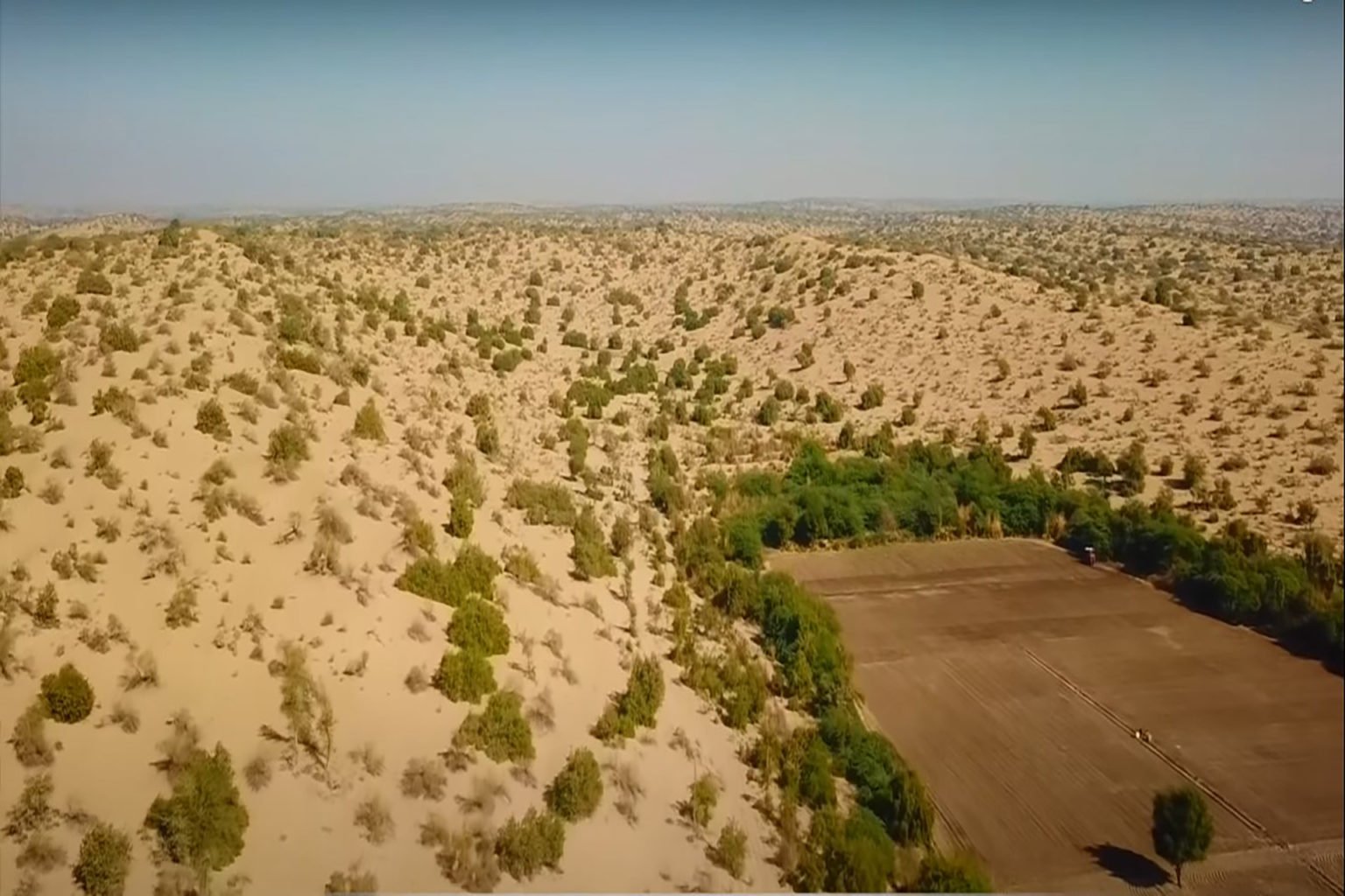 Nara Desert Wildlife: Exploring the Fauna in Pakistan's Arid Region