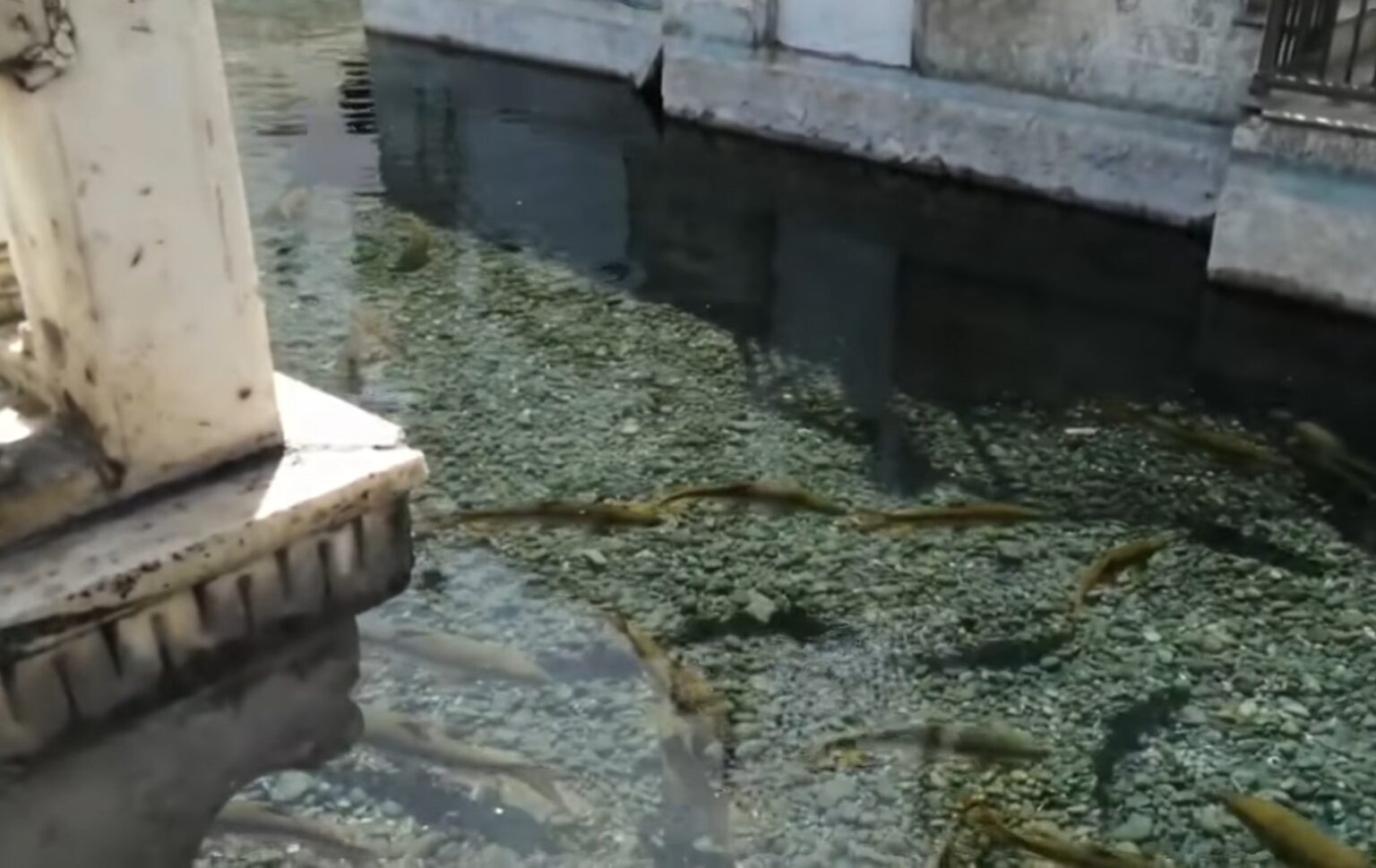 Discovering Panja Sahib: The Holy Handprint of Guru Nanak in Pakistan
