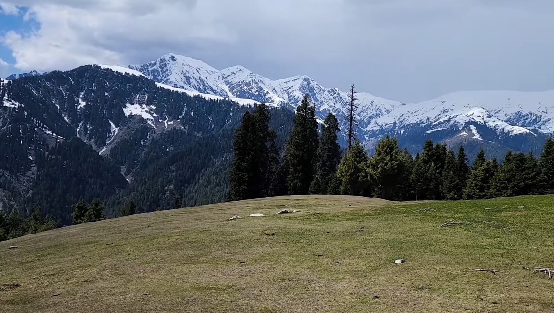 Manshi Top: A Tranquil Trekking Destination Near Sharan