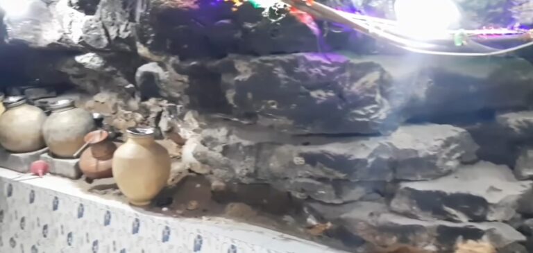 The Divine Splendor of Kalka Devi Mandir: Exploring a Sacred Hindu Temple