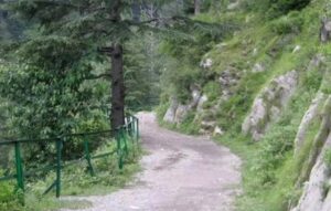 Ayubia National Park: Pakistan's Natural Treasure