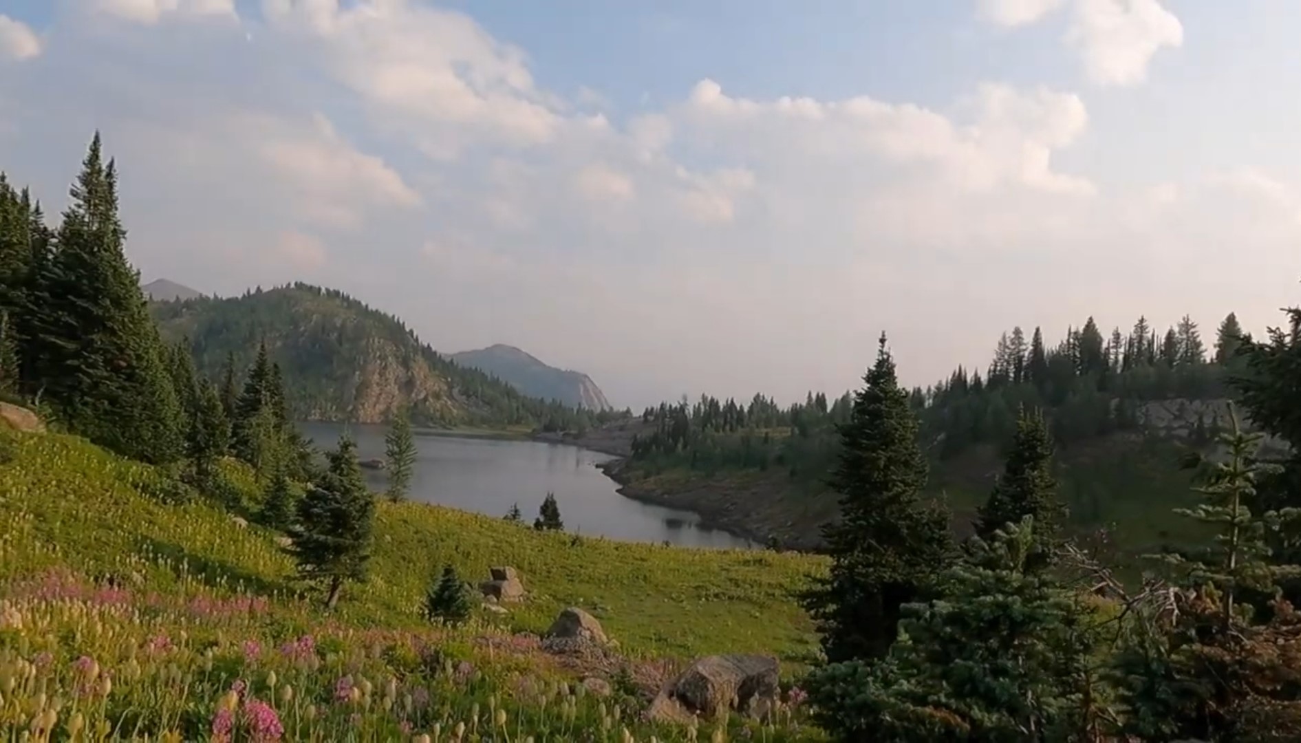 Sunshine Meadows Banff: A Beautiful Summer Destination in Banff ...