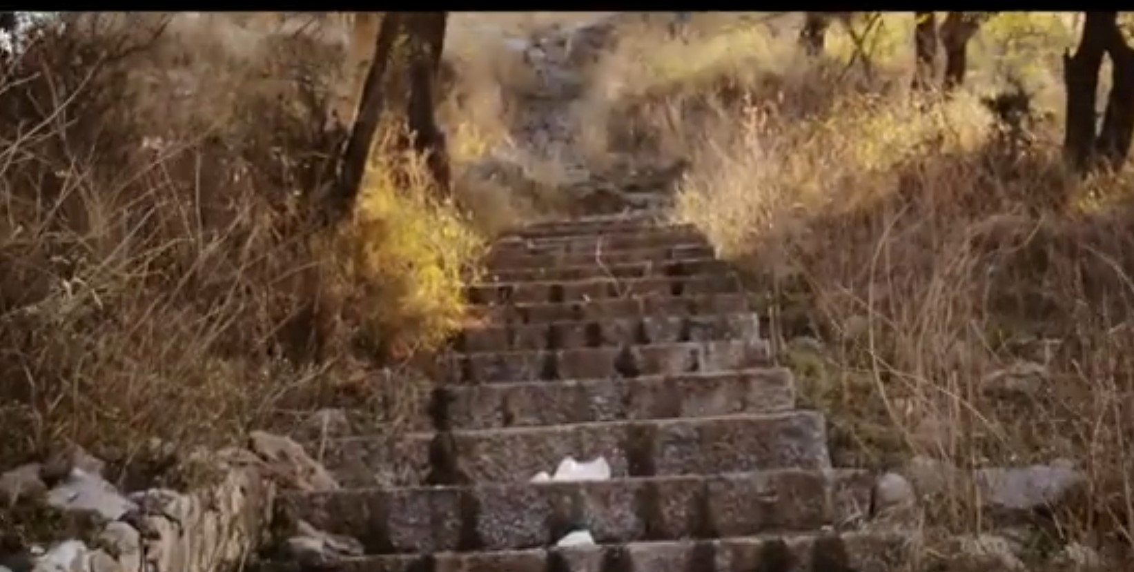 Kunala Stupa: Commemorating Resilience and Sacrifice at Taxila