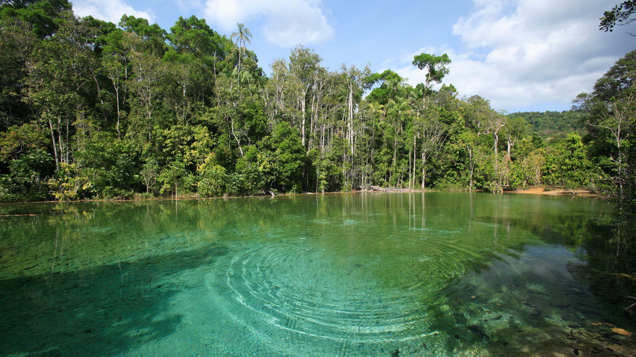 Emerald Pool: A Natural Wonder in Krabi, Thailand