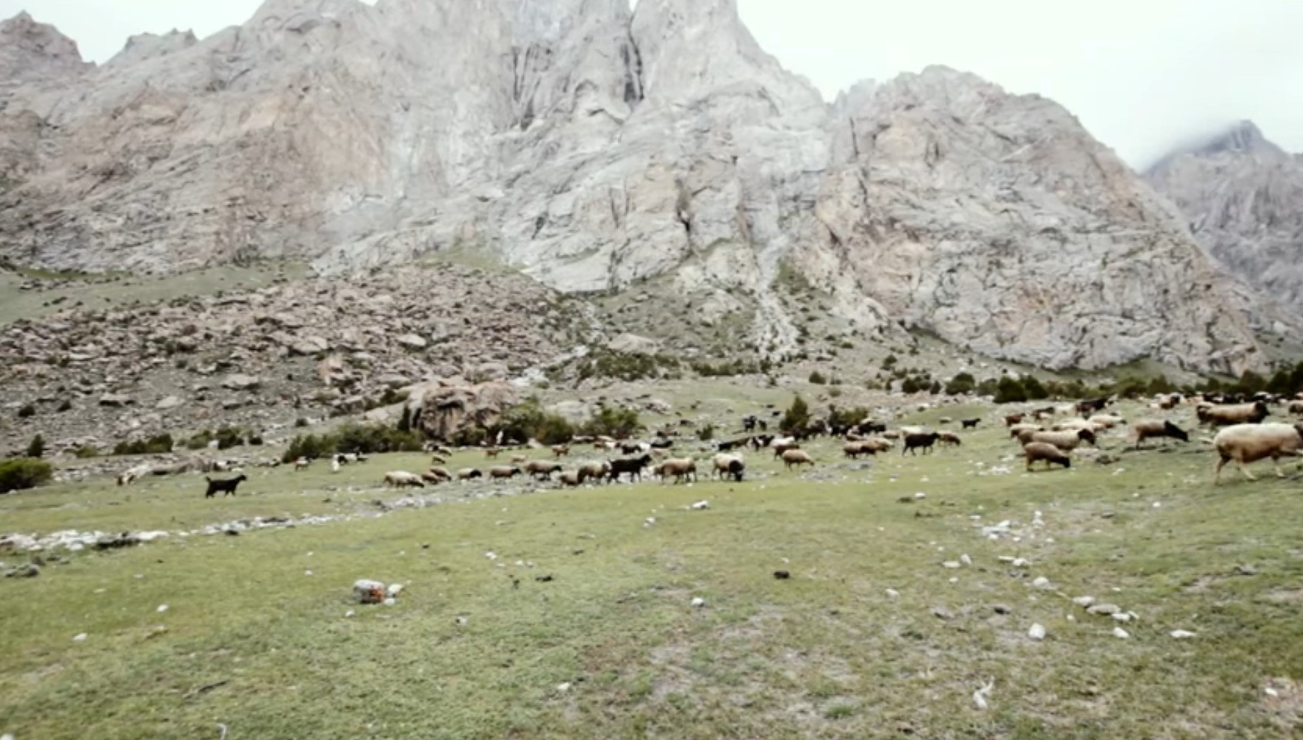 Khane Valley: A Hidden Gem for Rock Climbing Enthusiasts in the ...